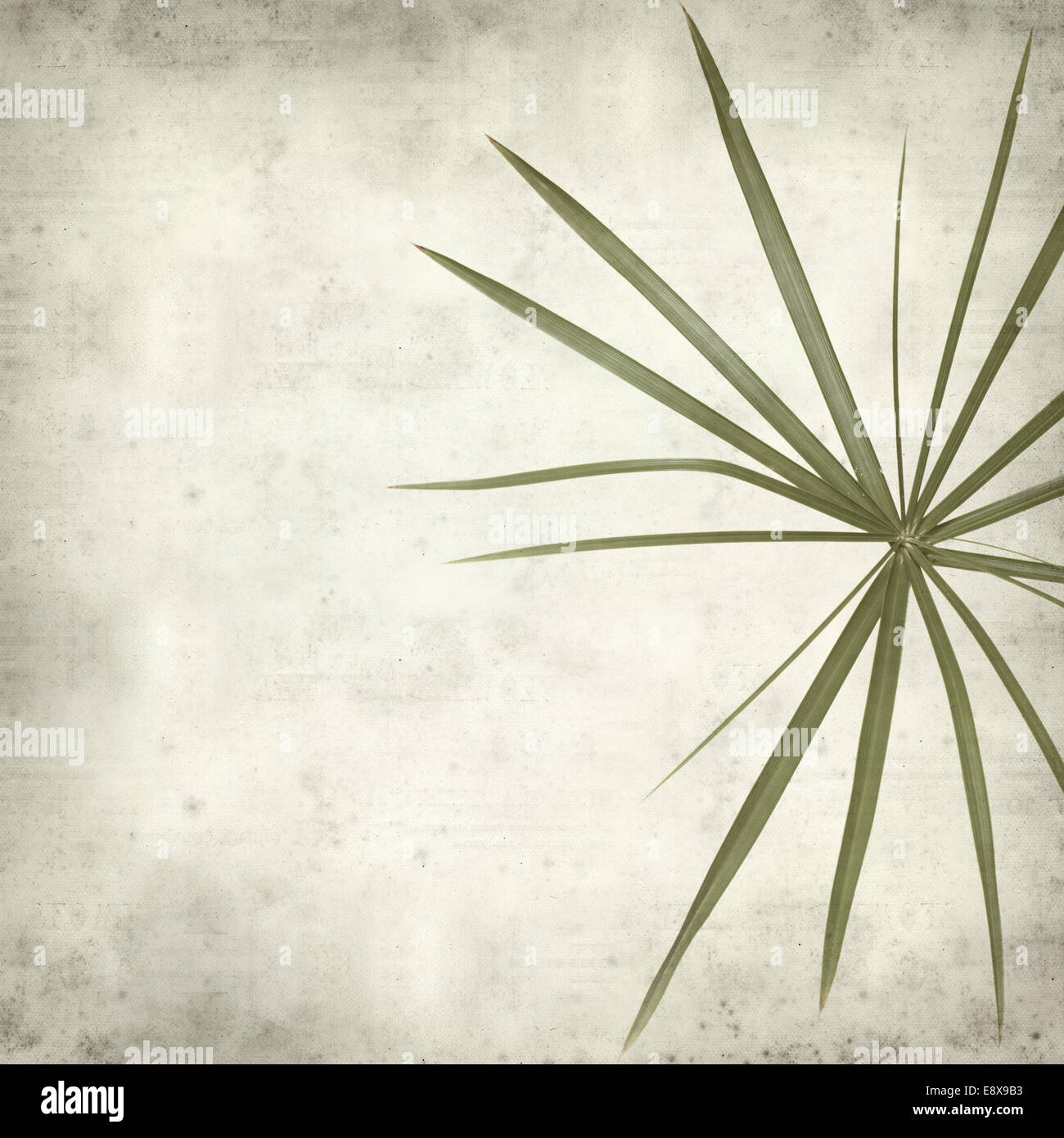 textured old paper background with papyrus Stock Photo - Alamy