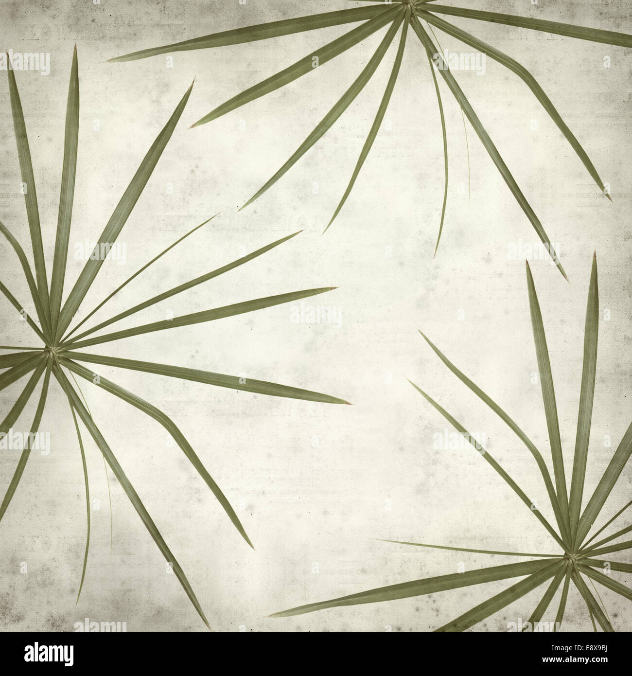 textured old paper background with papyrus Stock Photo - Alamy