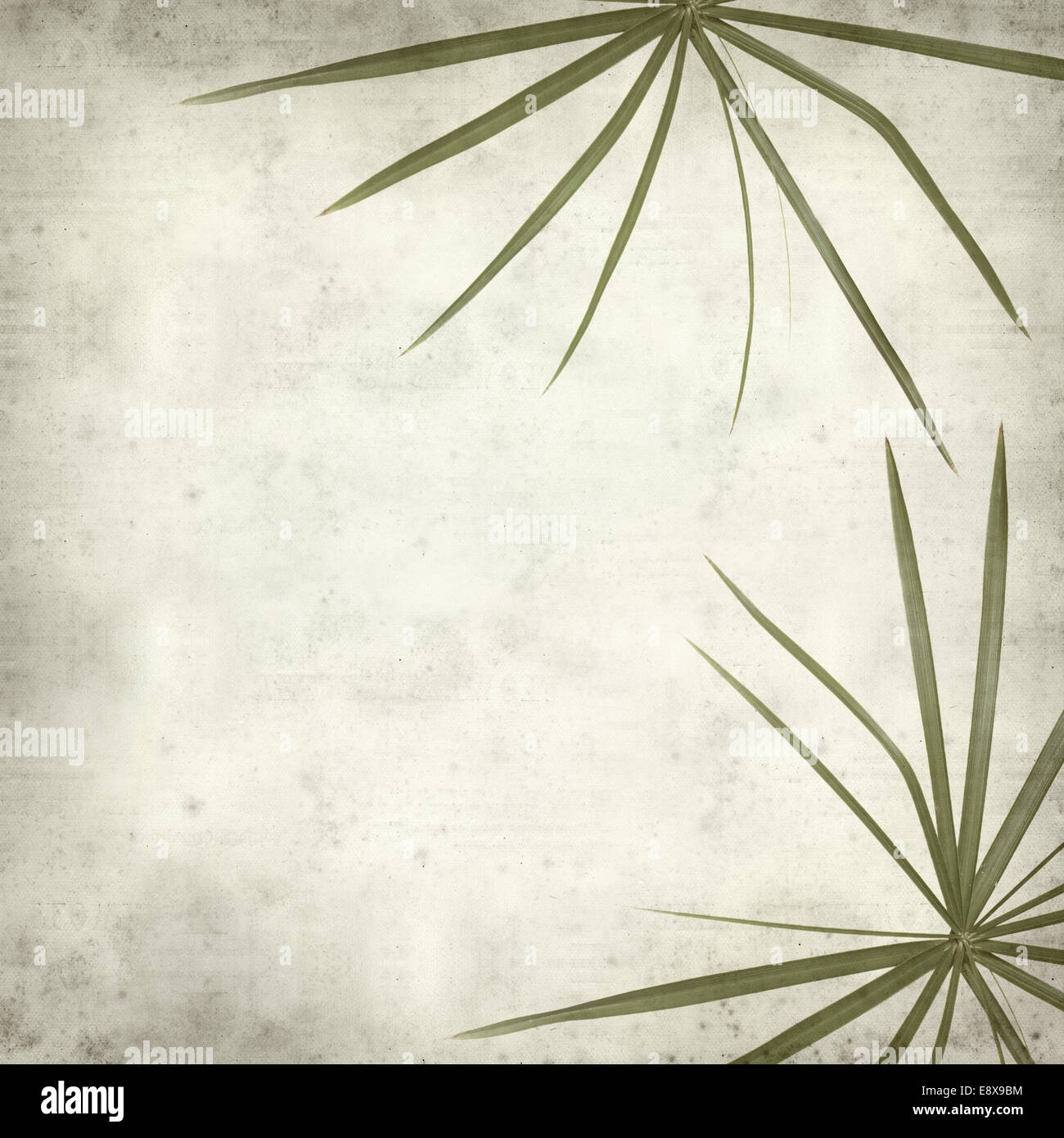 textured old paper background with papyrus Stock Photo - Alamy