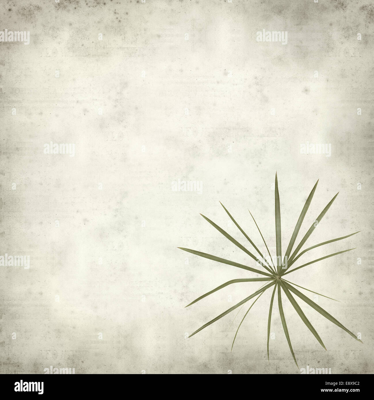 textured old paper background with papyrus Stock Photo - Alamy