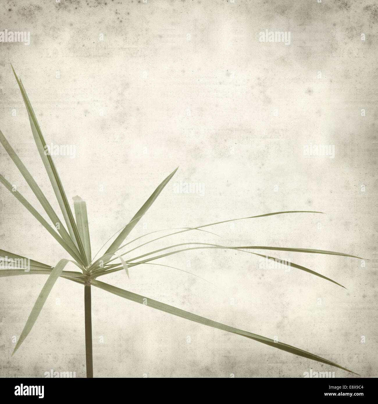 textured old paper background with papyrus Stock Photo - Alamy