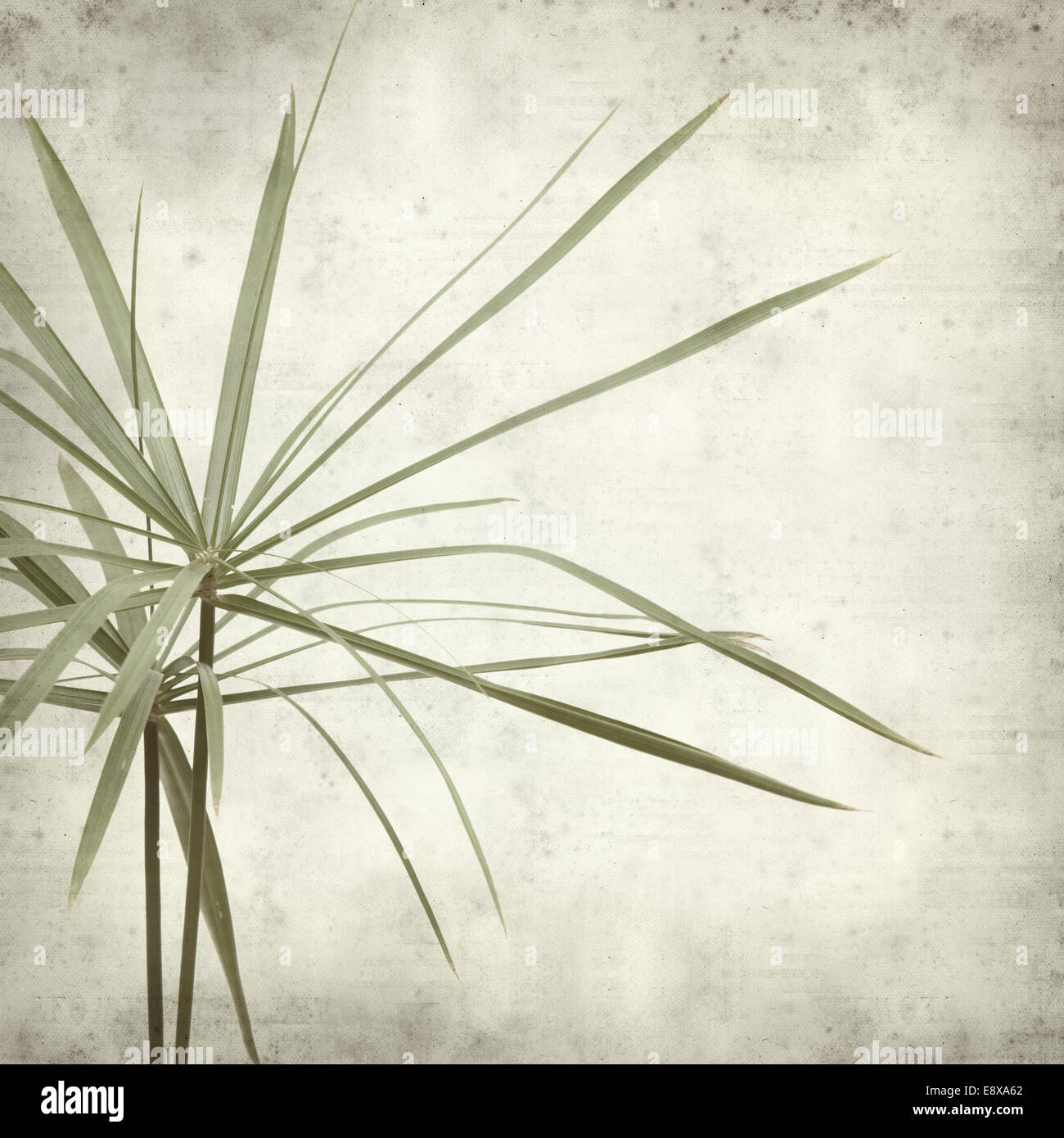 textured old paper background with papyrus Stock Photo - Alamy