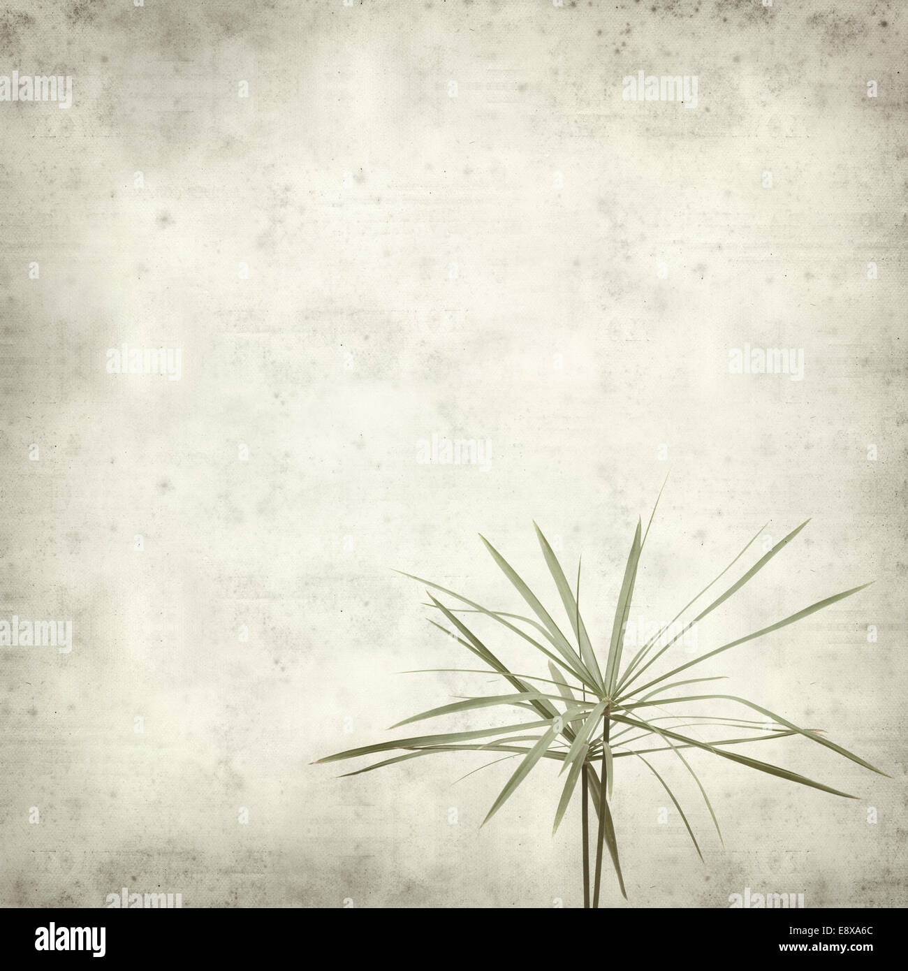 textured old paper background with papyrus Stock Photo - Alamy