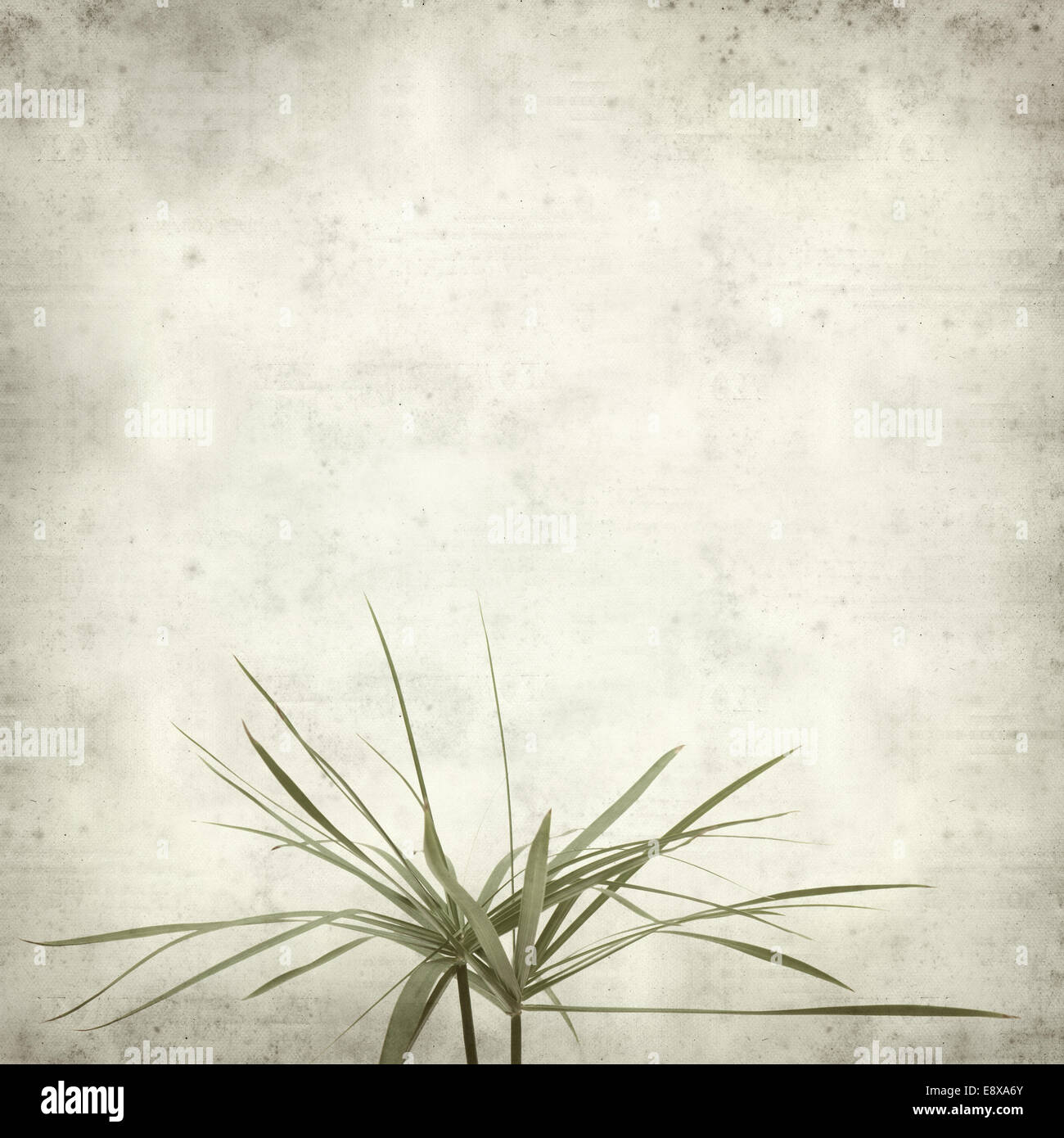 textured old paper background with papyrus Stock Photo - Alamy