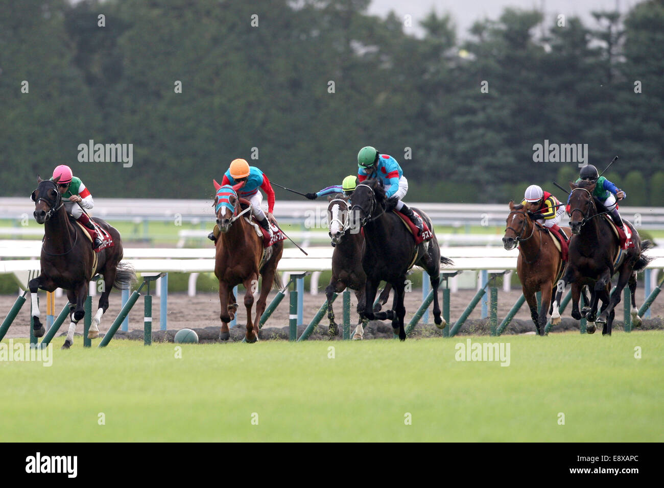 Kyoto, Japan. 14th Oct, 2014. (L-R) To the Glory (Yuichi Fukunaga ...