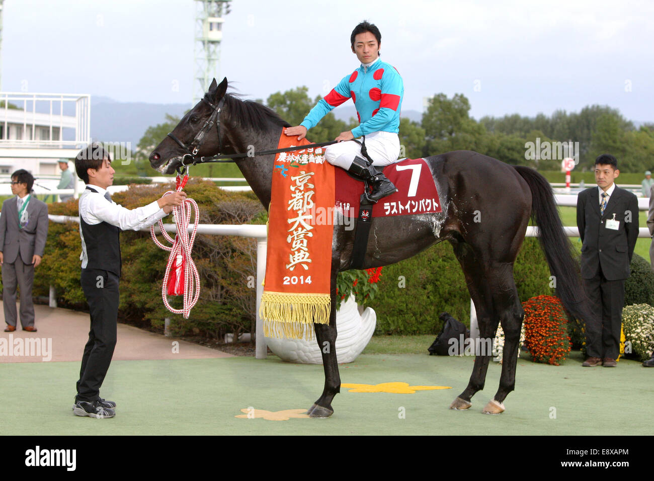 Kyoto, Japan. 14th Oct, 2014. Last Impact (Yuga Kawada) Horse Racing ...