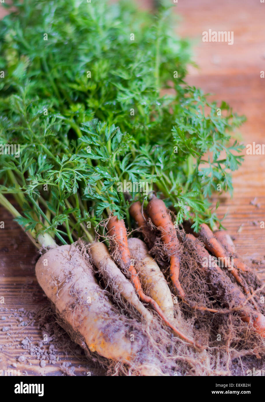 Organic homegrown carrots on an old table Stock Photo - Alamy