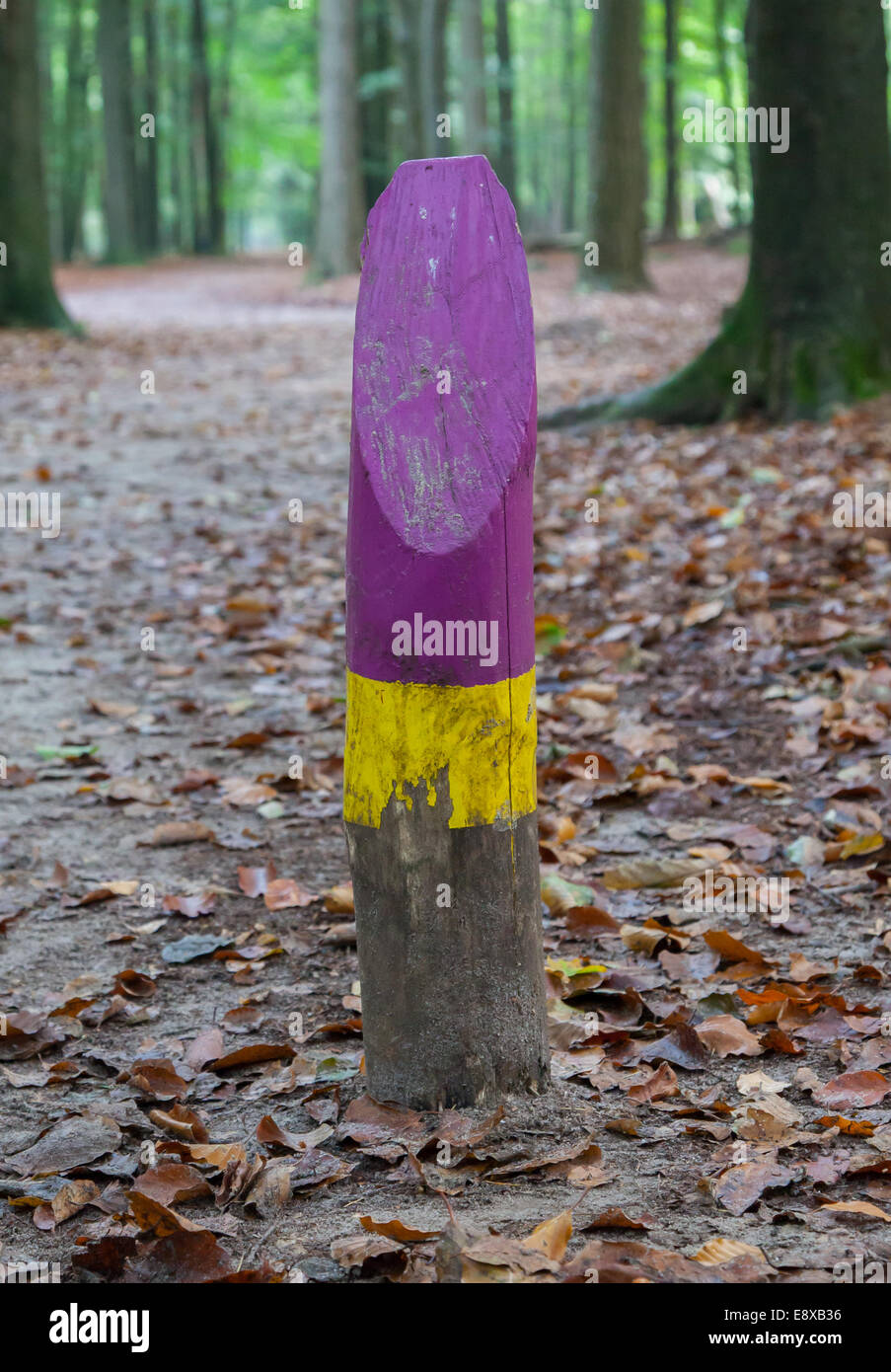 Painted marking at a walking path in the dutch forrest Stock Photo - Alamy