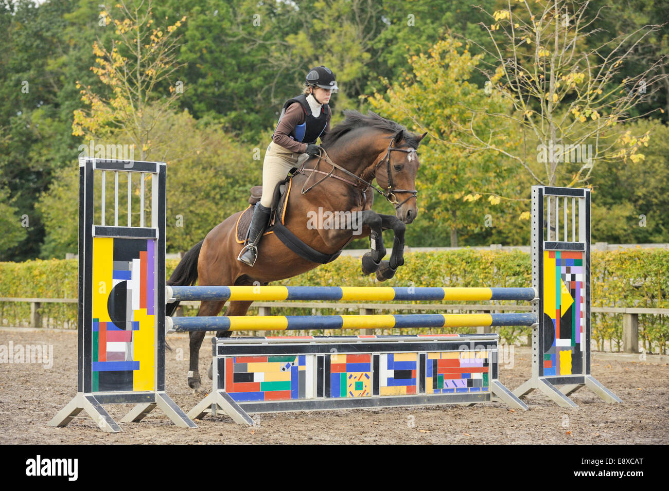 Rider jumping on back of a Holstein breed horse Stock Photo - Alamy