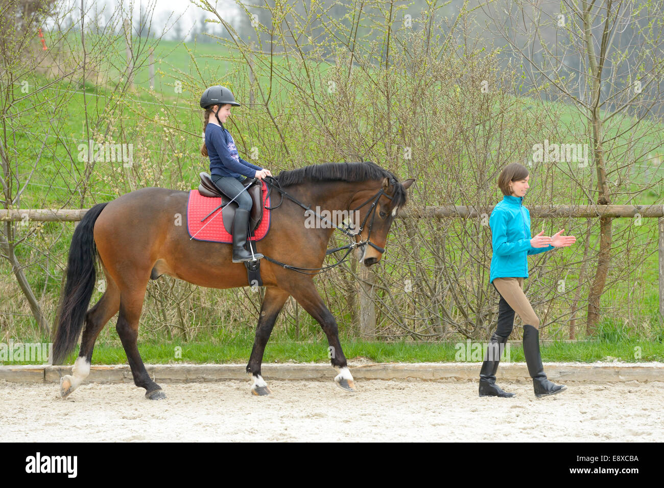 Lunge lesson horse hi-res stock photography and images - Alamy