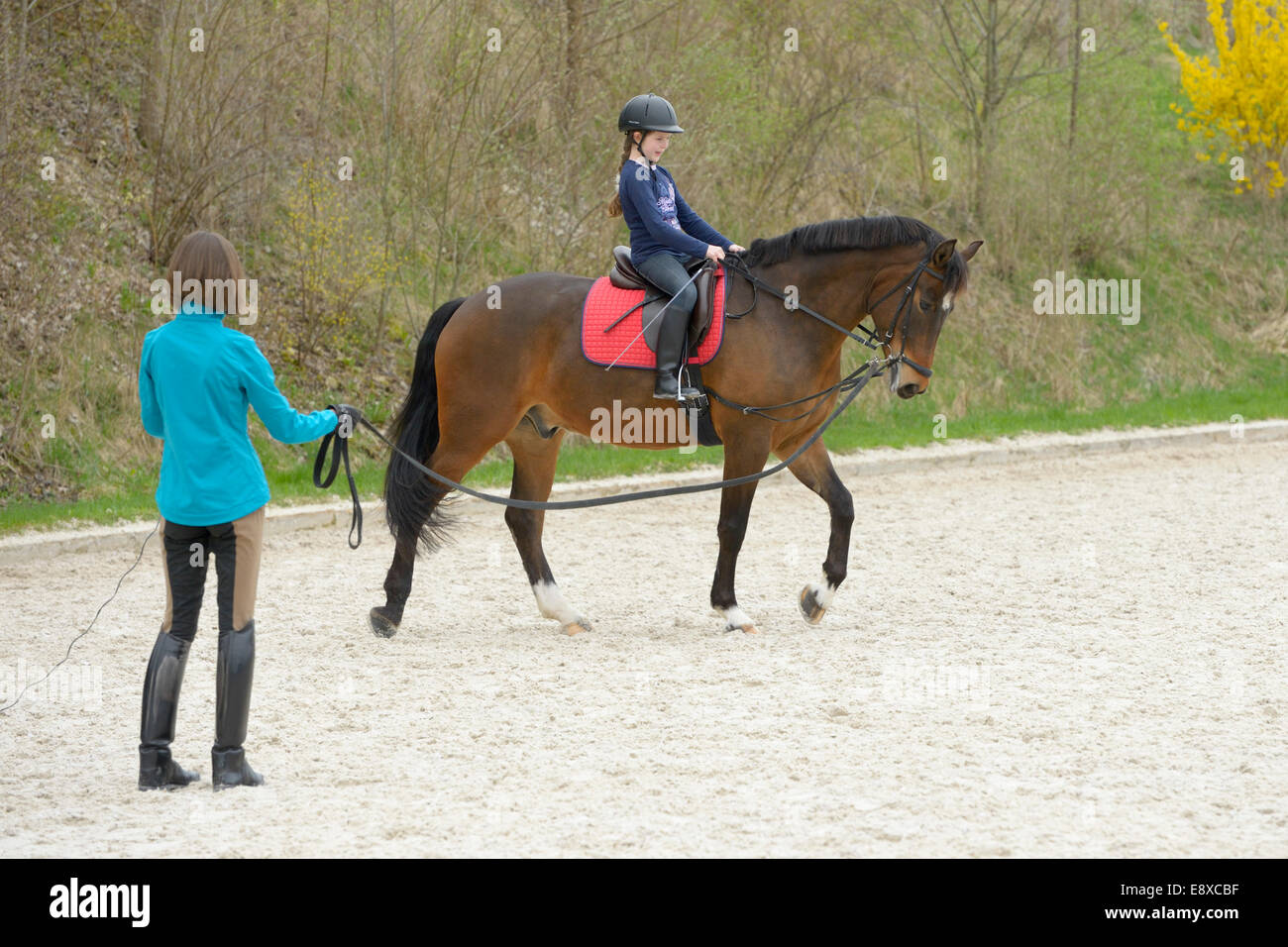 Lunge lesson horse hi-res stock photography and images - Alamy