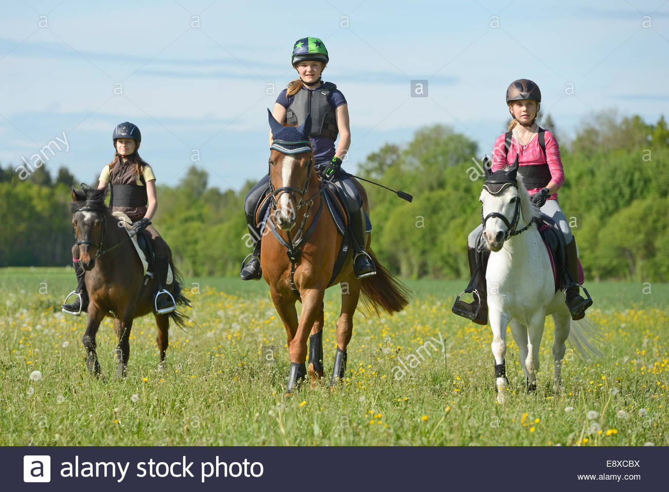 Three Riders On Horses Stock Photos & Three Riders On Horses Stock ...