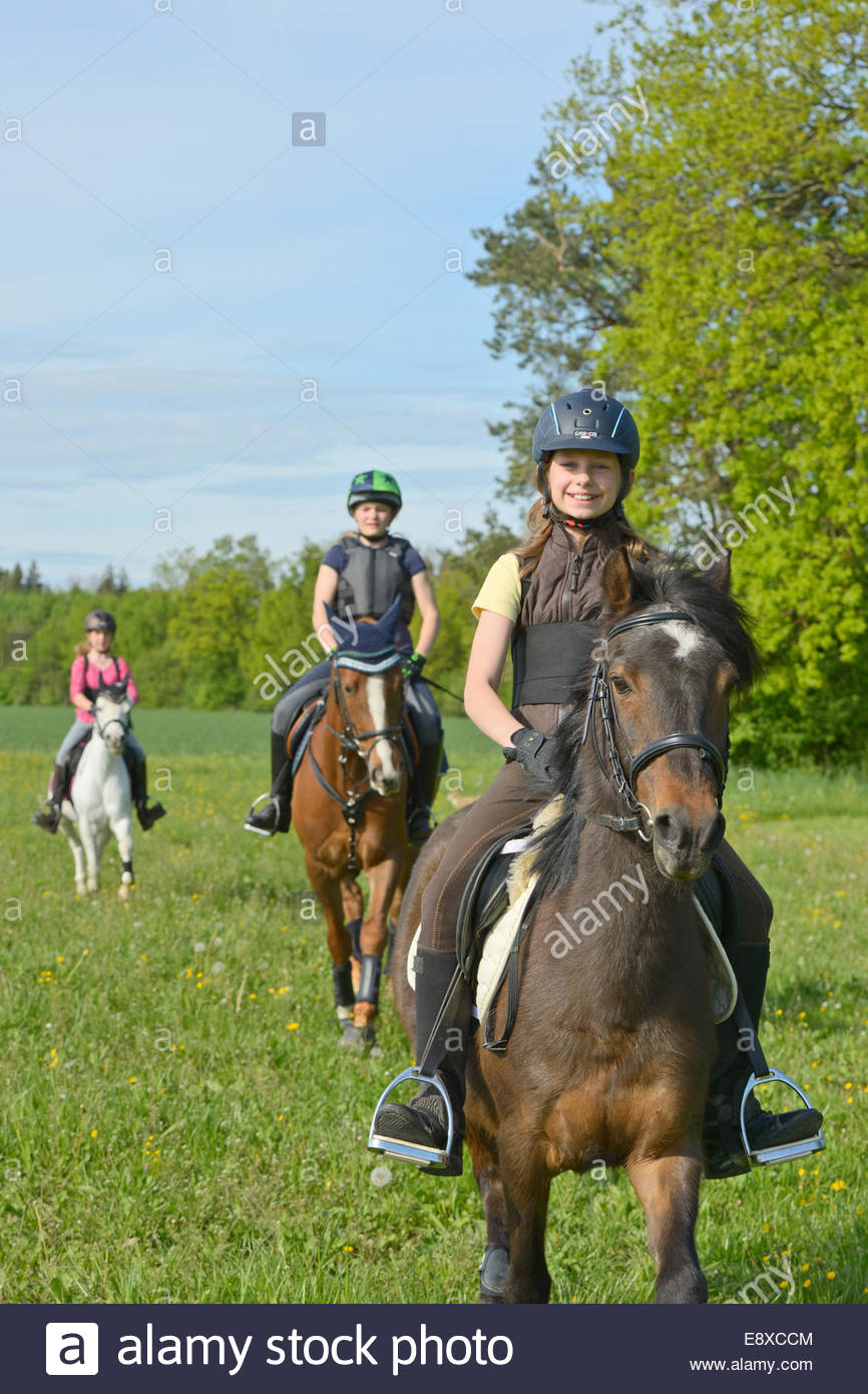 Multiple Ponies High Resolution Stock Photography and Images - Alamy