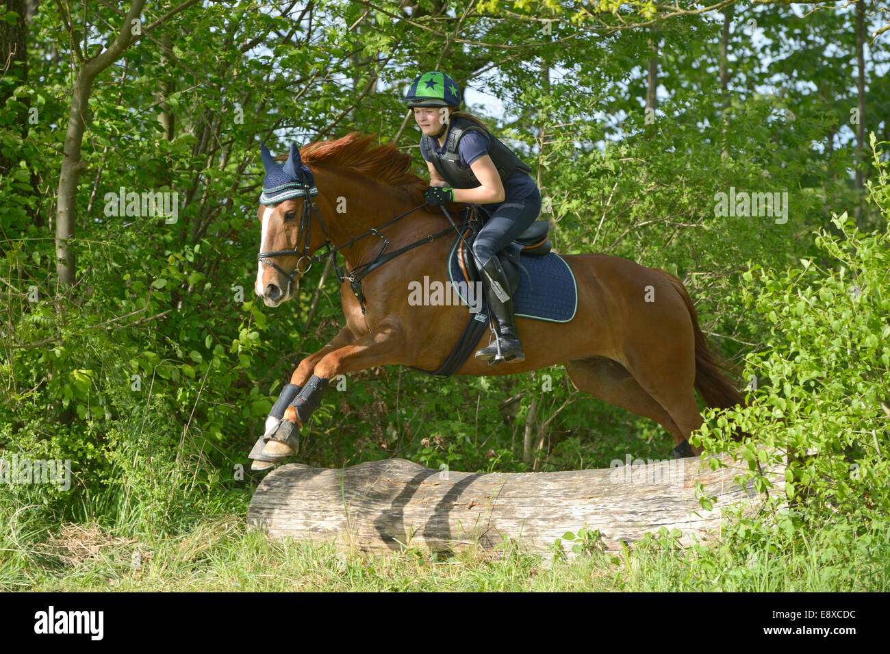 Riding the log hi-res stock photography and images - Alamy