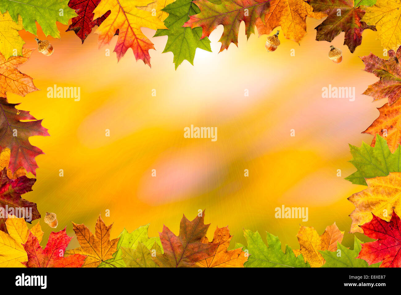 Sunbeam border hi-res stock photography and images - Alamy