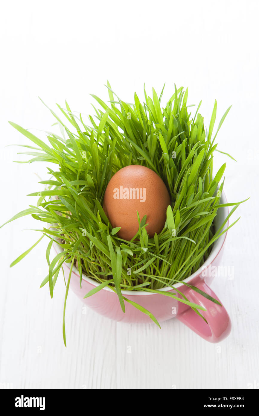 Egg in grass hi-res stock photography and images - Alamy