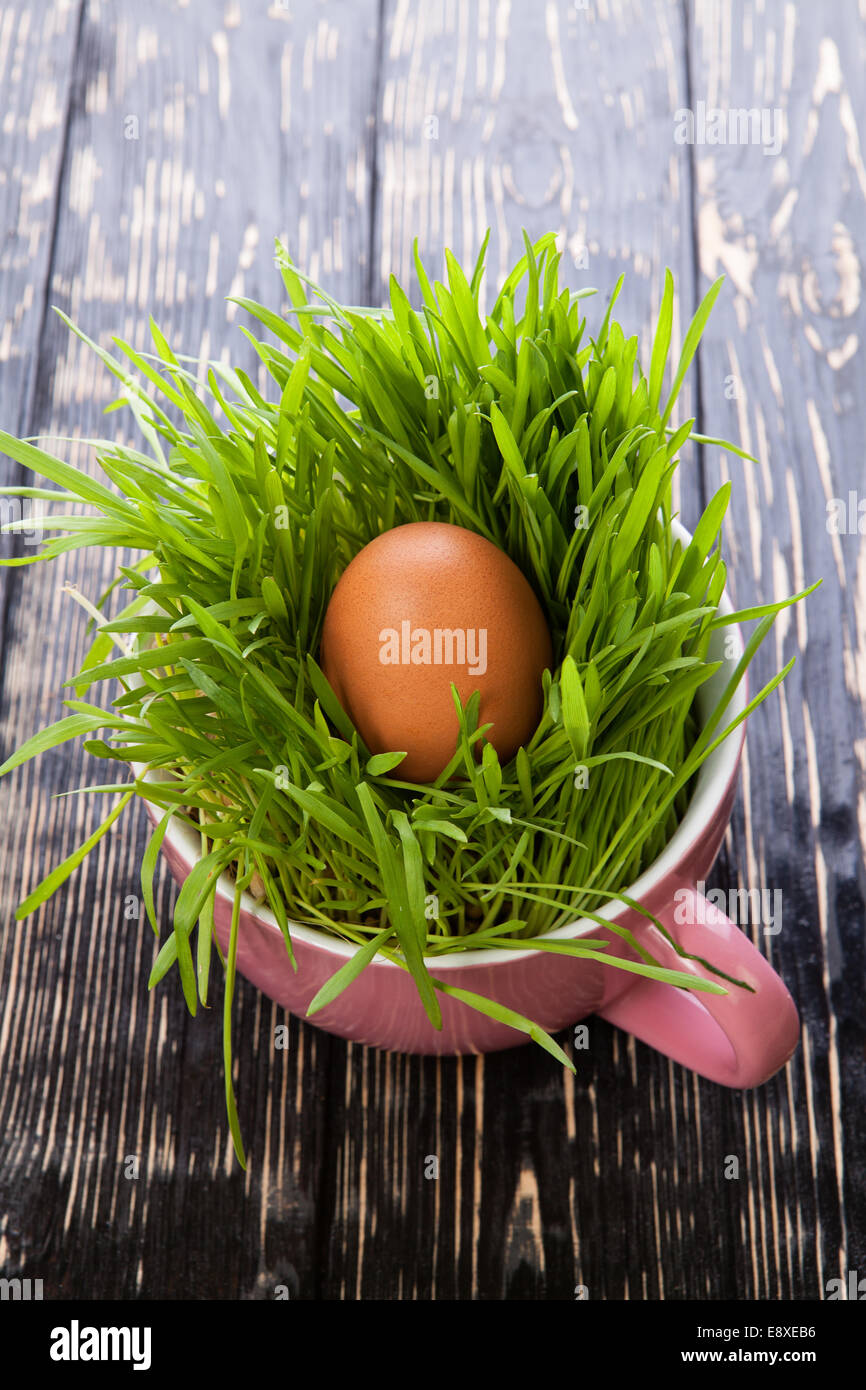 Egg in grass hi-res stock photography and images - Alamy