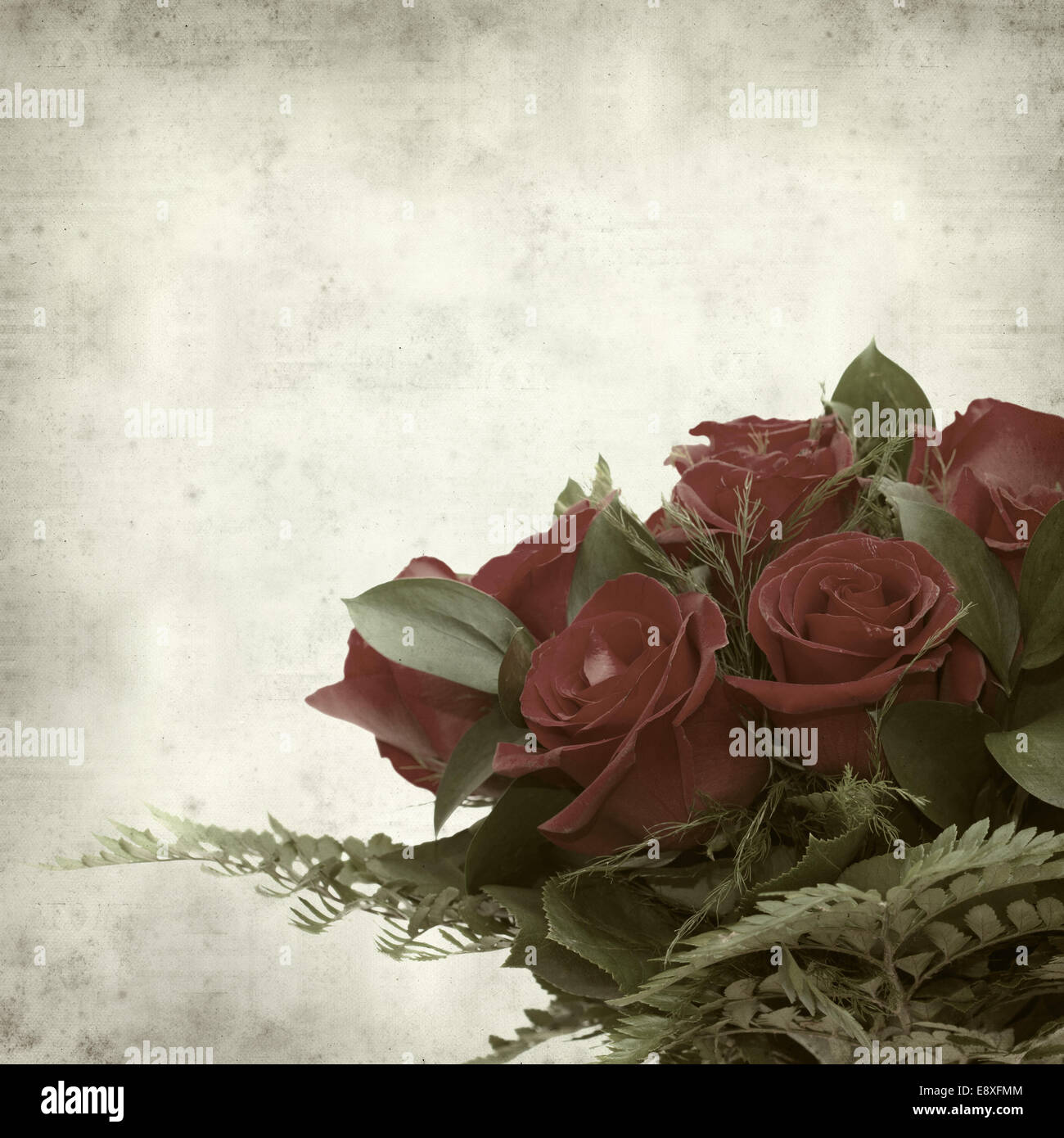 textured old paper background with red rose Stock Photo - Alamy