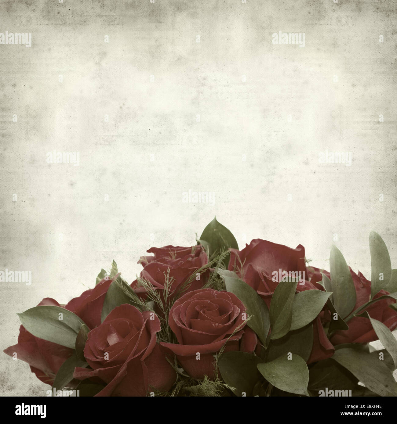 textured old paper background with red rose Stock Photo - Alamy