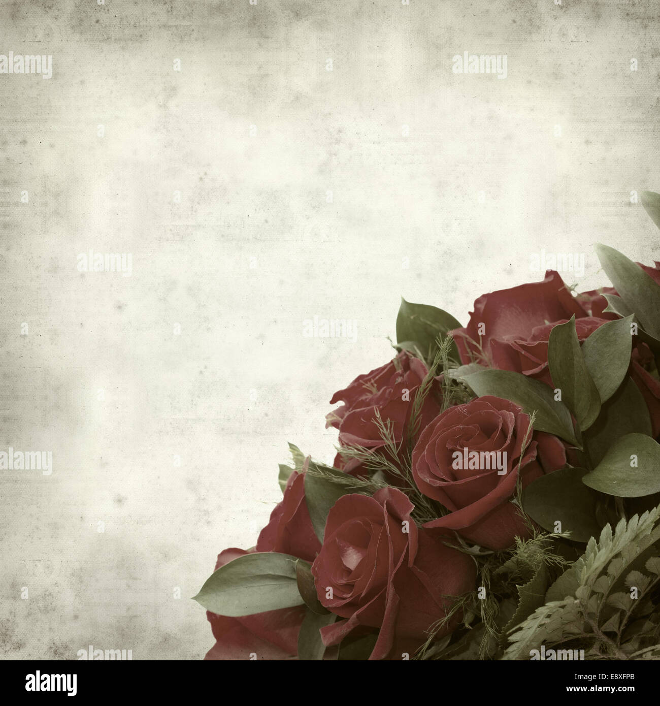 textured old paper background with red rose Stock Photo - Alamy