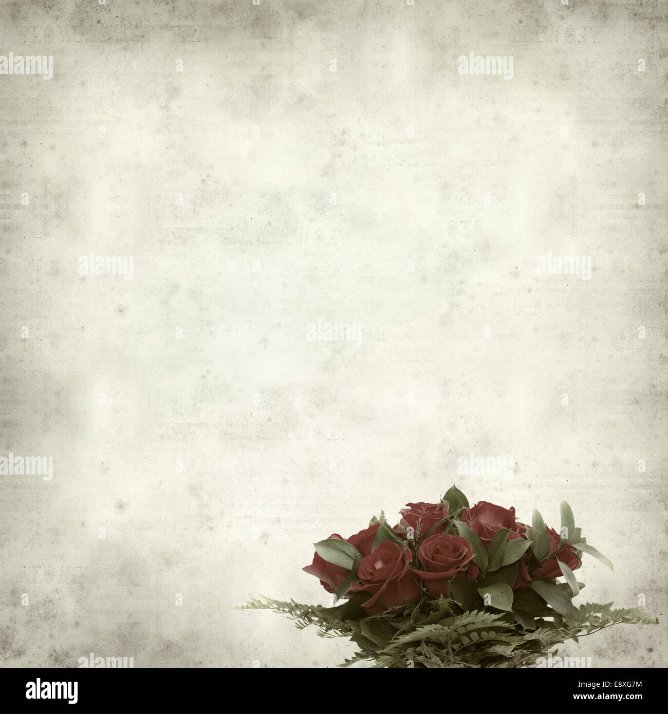 textured old paper background with red rose Stock Photo - Alamy