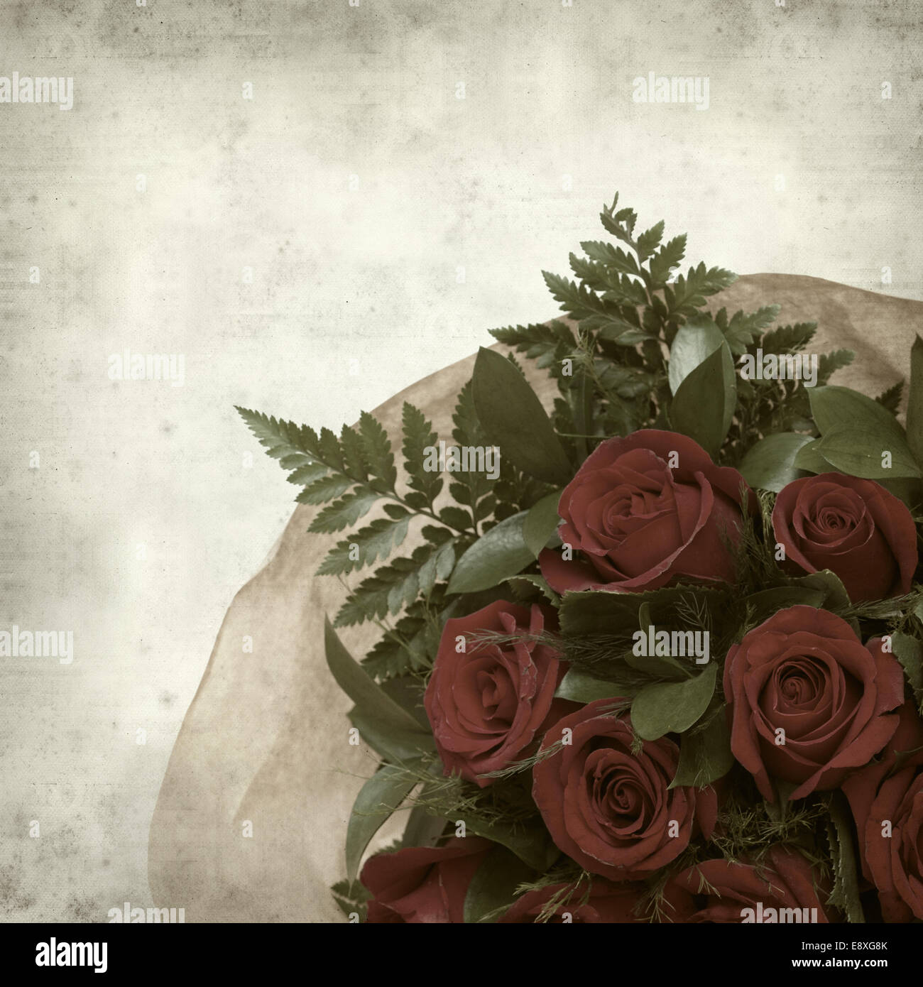 textured old paper background with red rose Stock Photo - Alamy