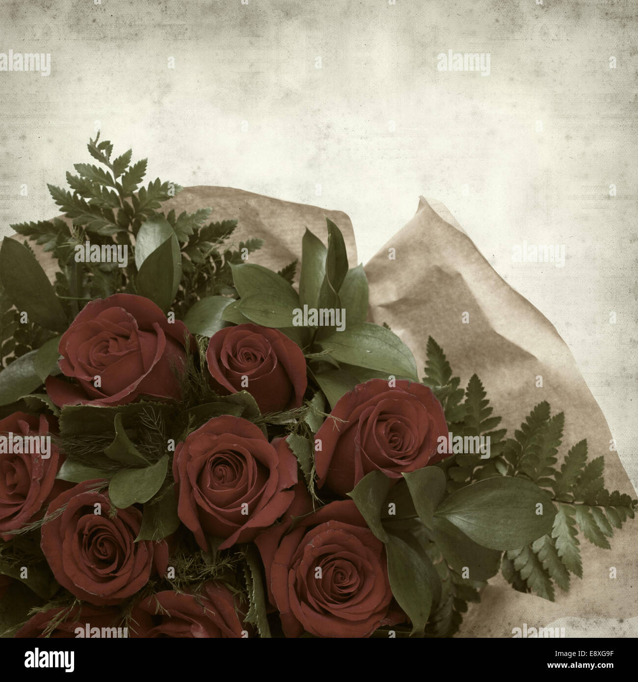 textured old paper background with red rose Stock Photo - Alamy