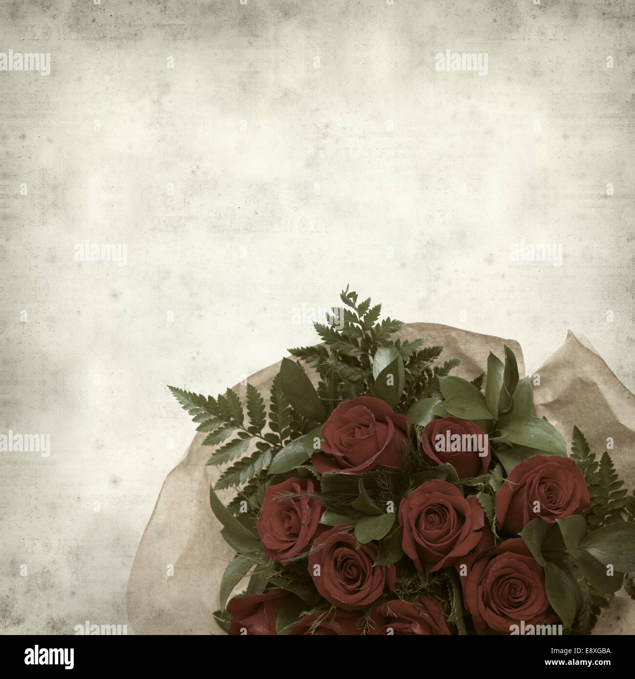 textured old paper background with red rose Stock Photo - Alamy