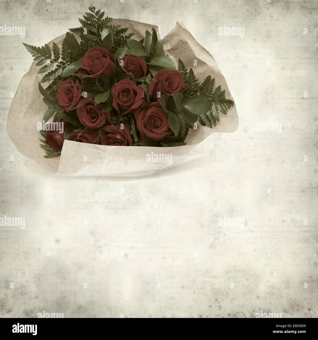 textured old paper background with red rose Stock Photo - Alamy