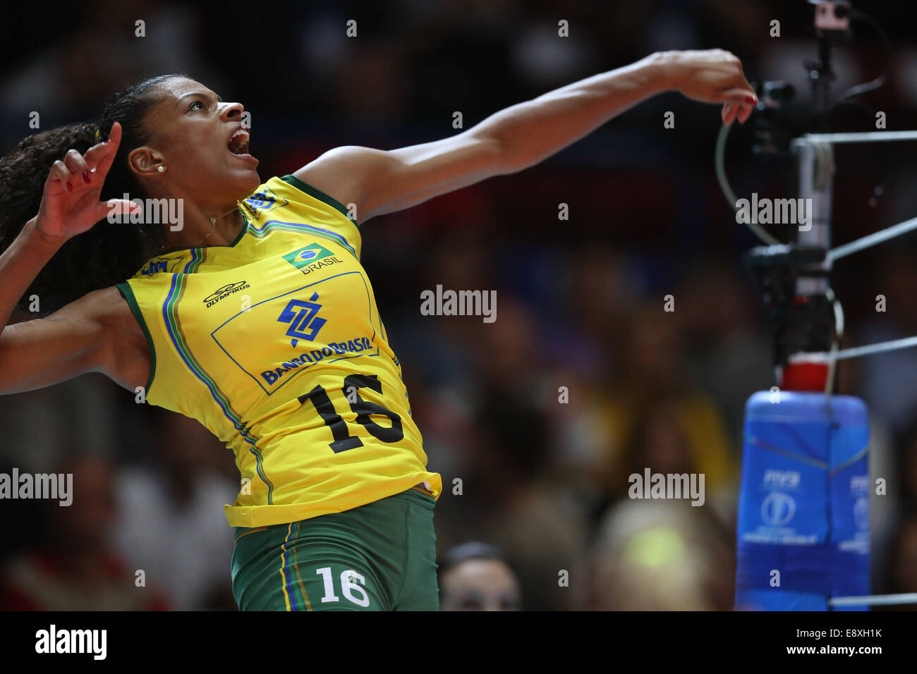 Milano, Italy. 8th Oct, 2014. Fernanda Rodrigues (BRA) Volleyball ...