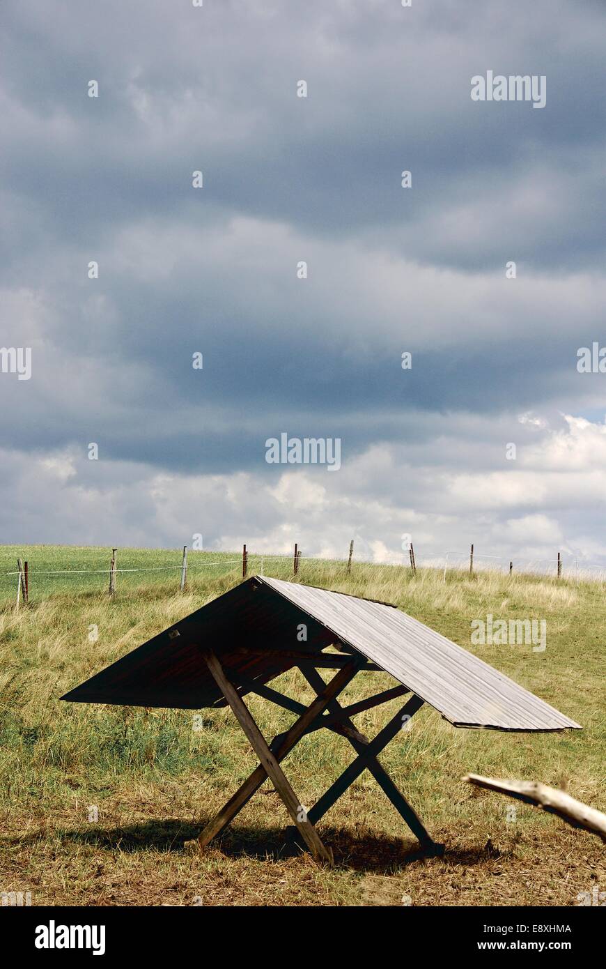 Shelder hi-res stock photography and images - Alamy