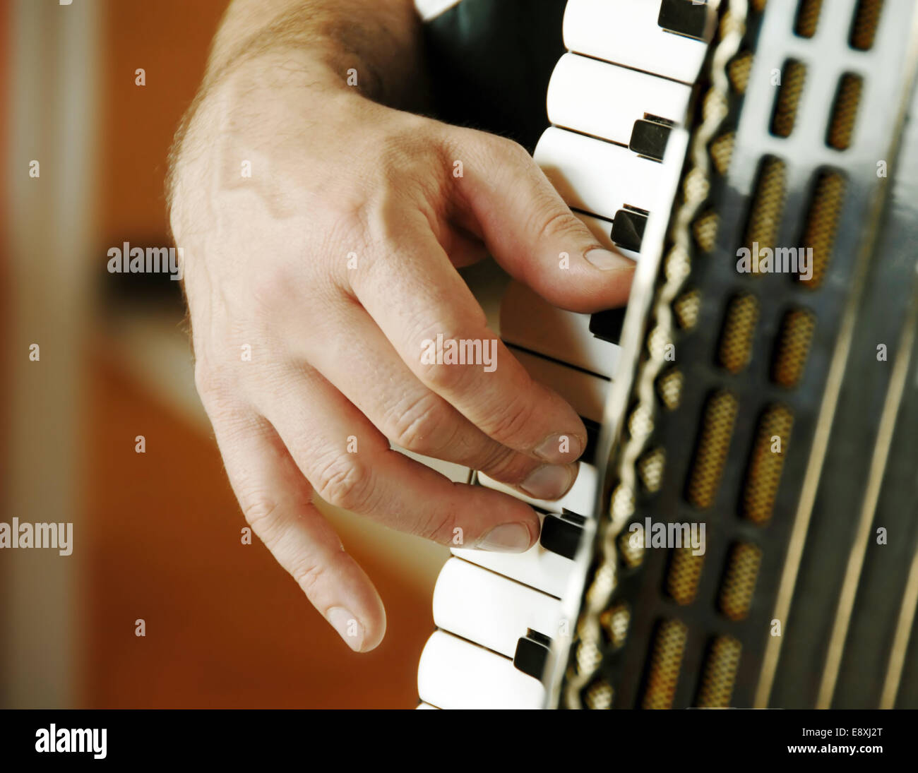 Hand accordion hi-res stock photography and images - Alamy