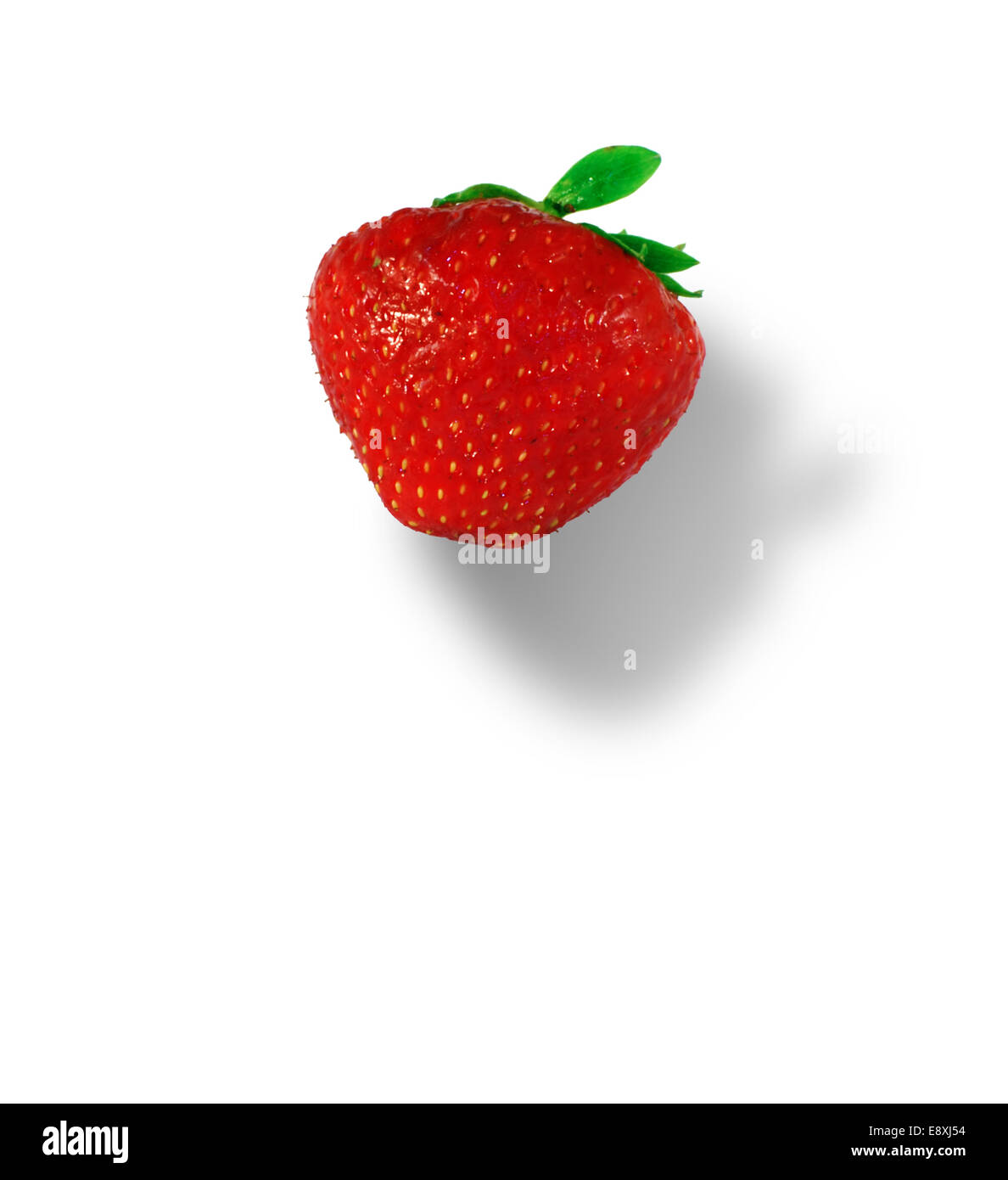 fresh strawberry with shadow Stock Photo - Alamy