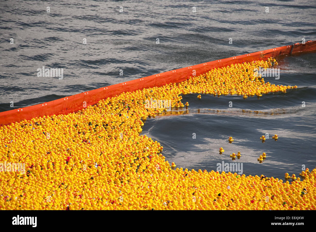 Entenrennen hi-res stock photography and images - Alamy