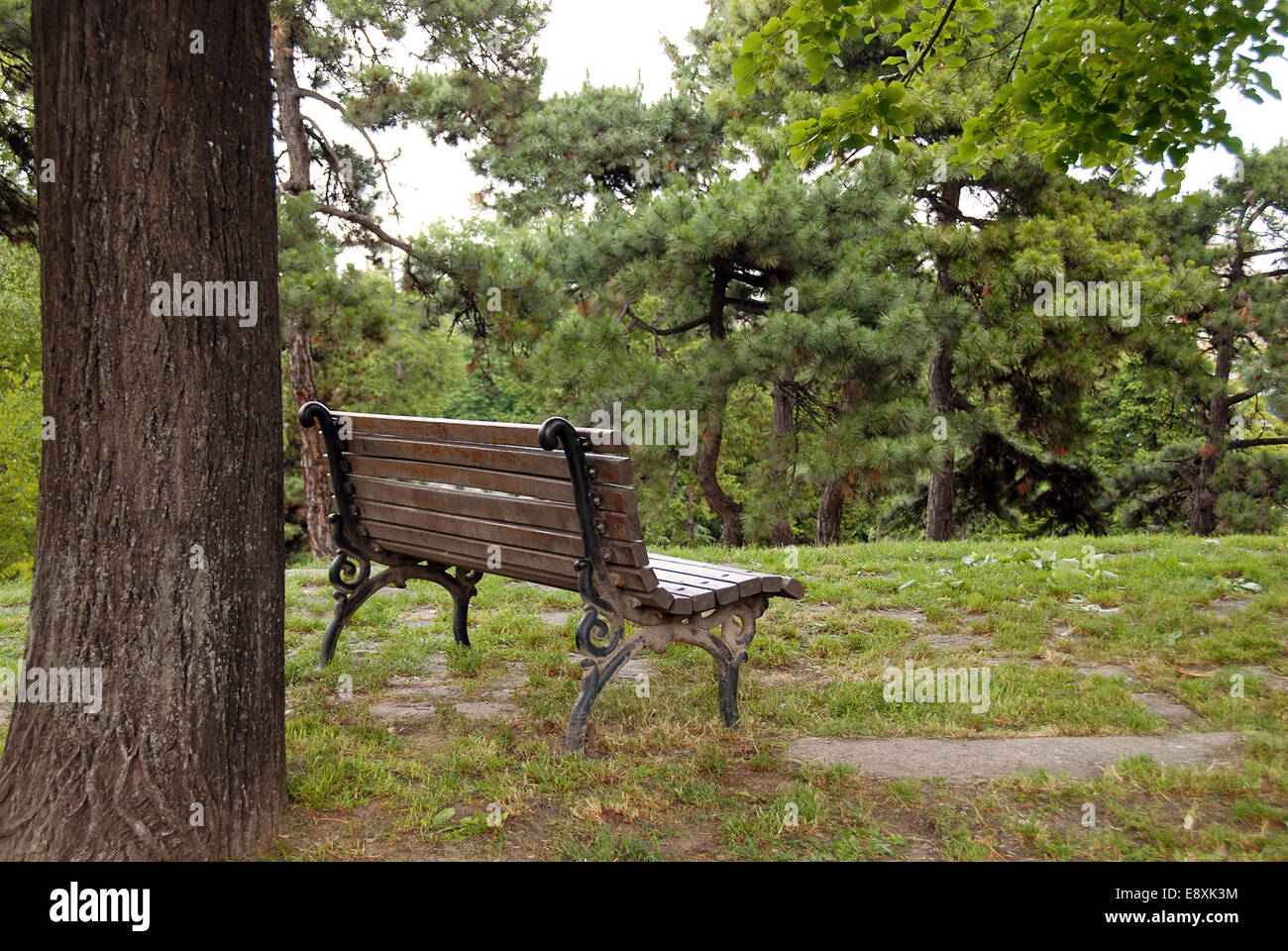 Wooden bench in park Stock Photo - Alamy