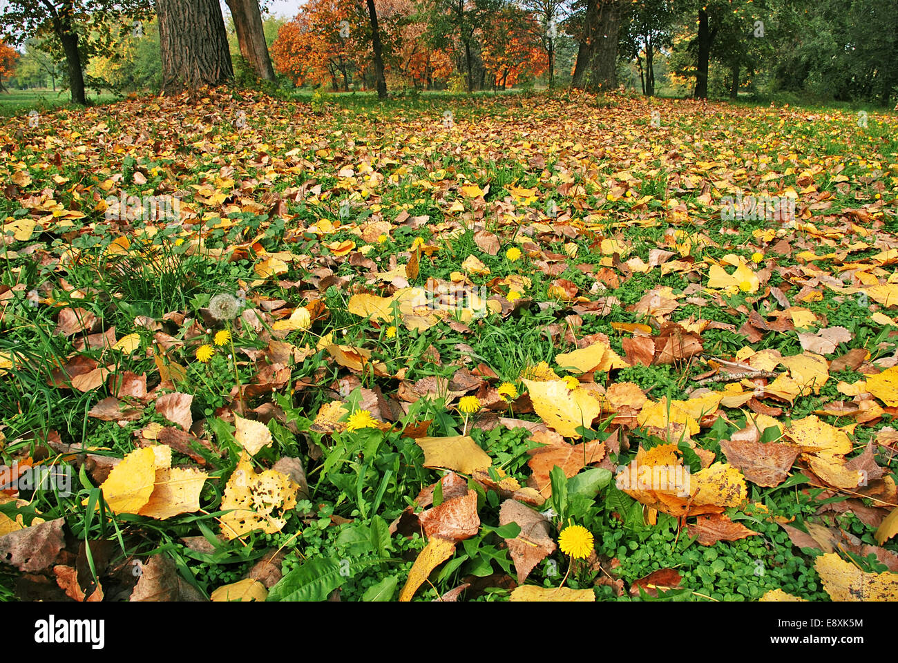 Equal ground hi-res stock photography and images - Alamy