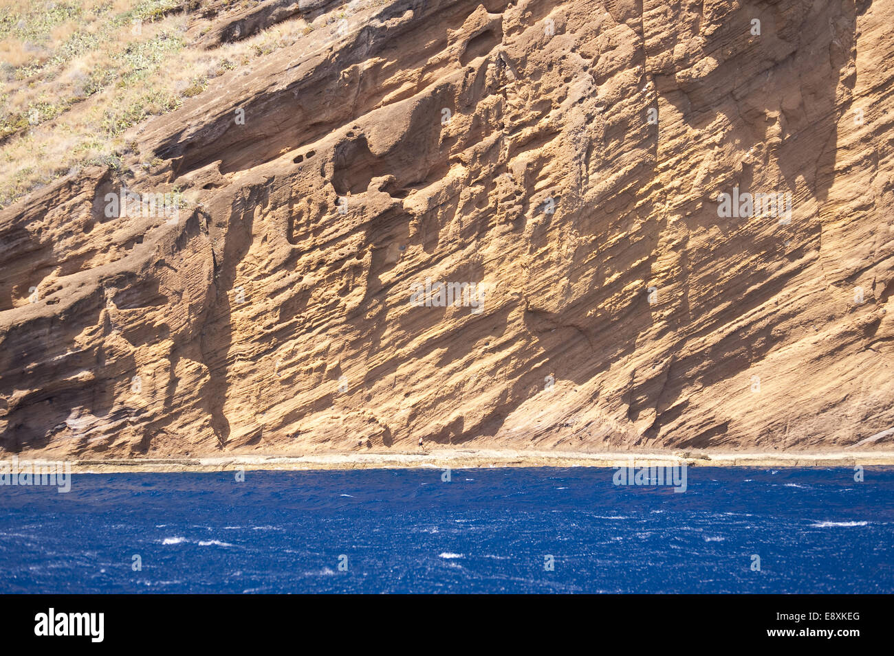 Madeira rock fish hi-res stock photography and images - Alamy