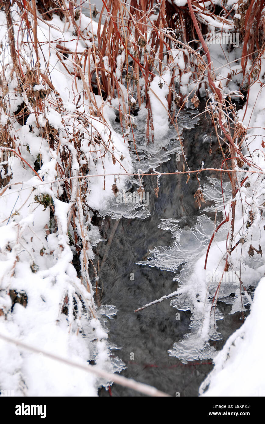 Frigid stream hi-res stock photography and images - Alamy