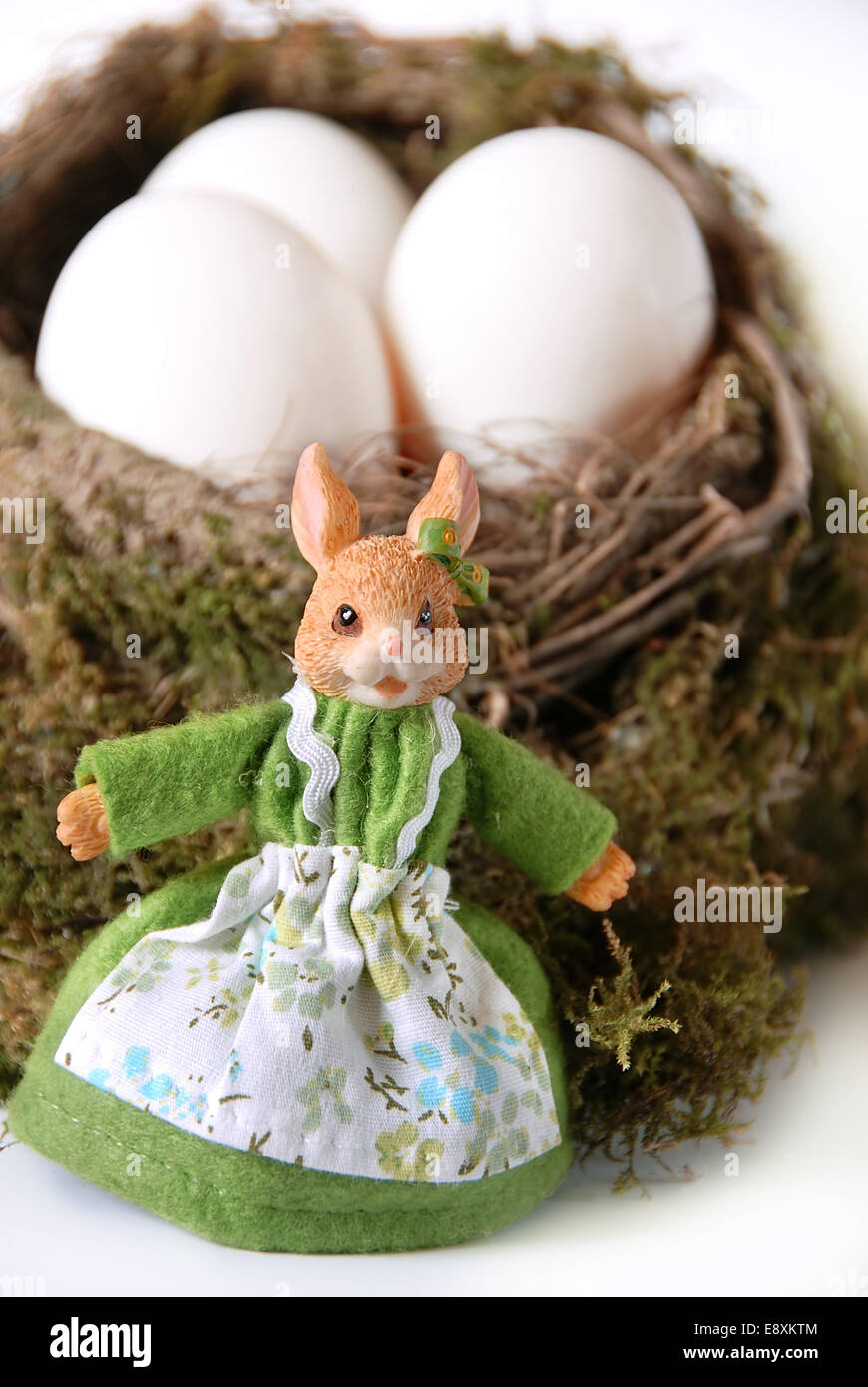 Rabbit yellowish hi-res stock photography and images - Alamy