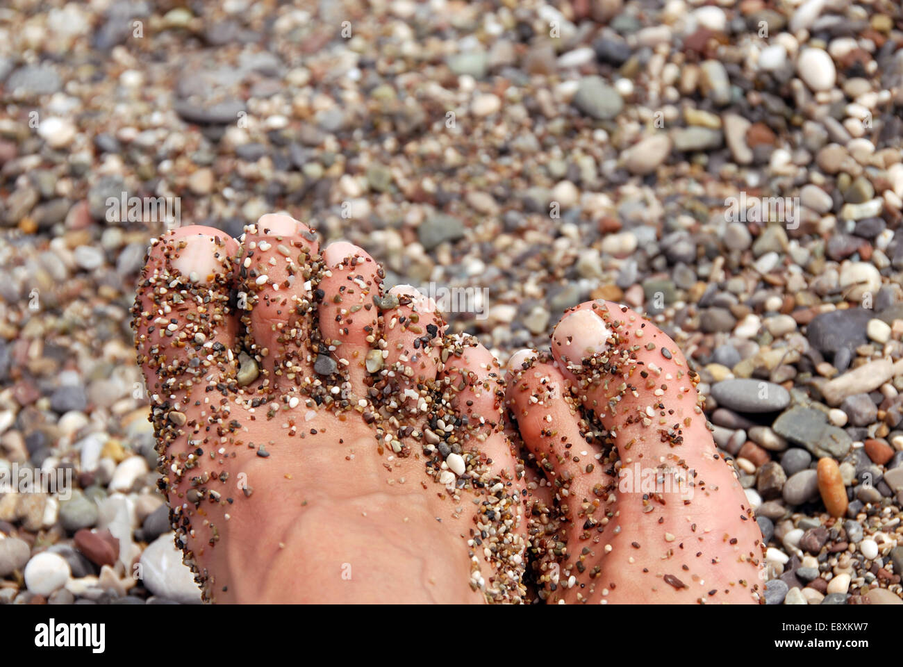 Toes in pebble Stock Photo - Alamy