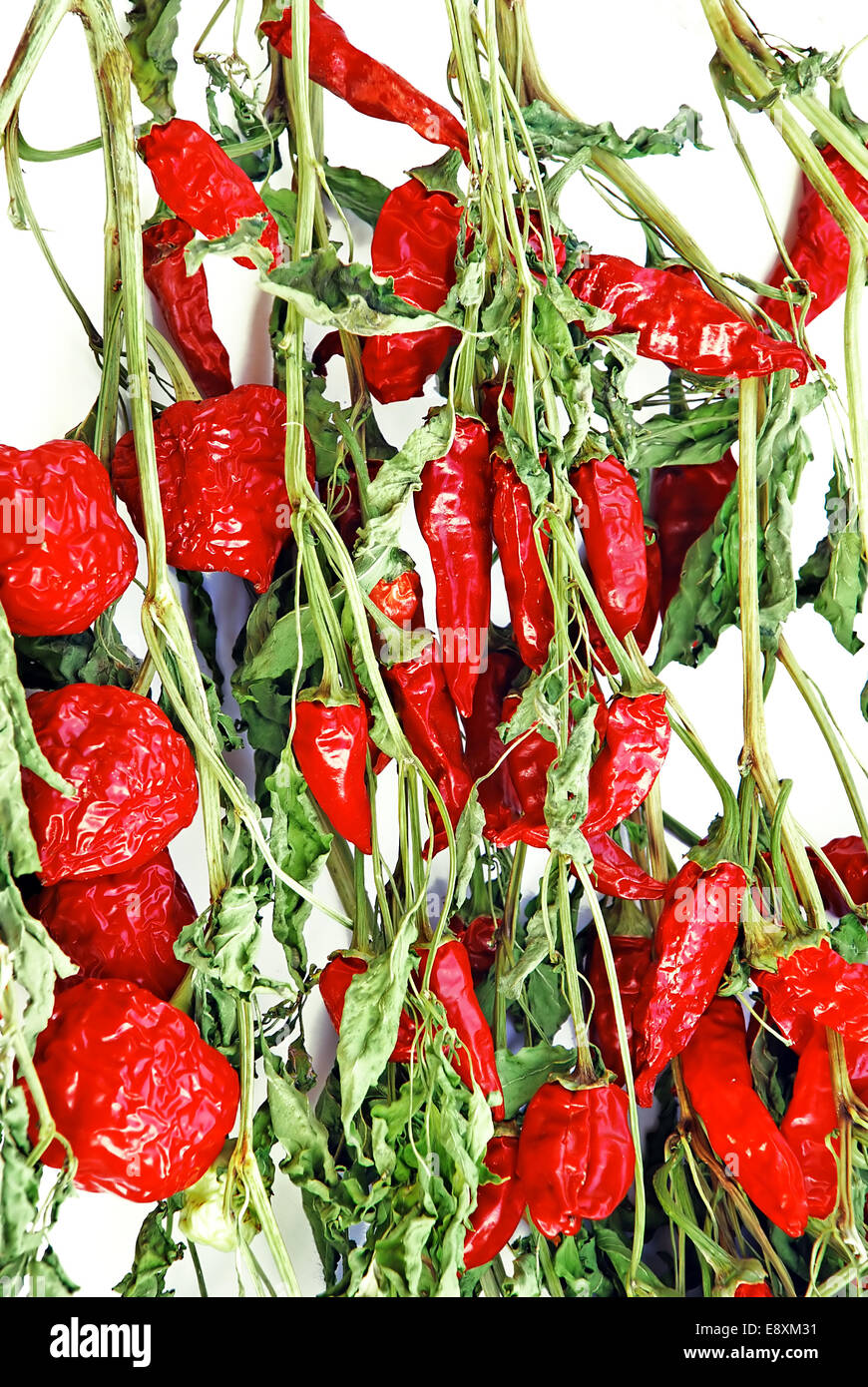 Dry red hot chilly peppers backgrounds Stock Photo - Alamy