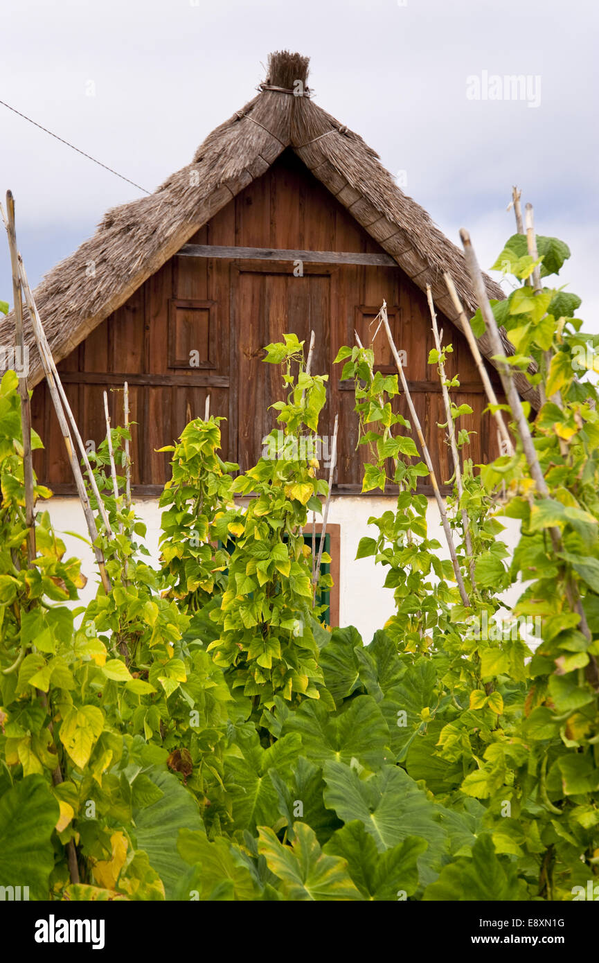 Stroh dach hi-res stock photography and images - Alamy