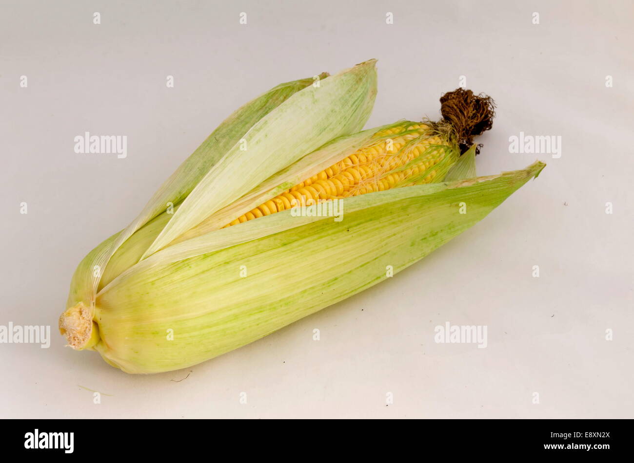 Fresh maize corn cob with husk Stock Photo - Alamy
