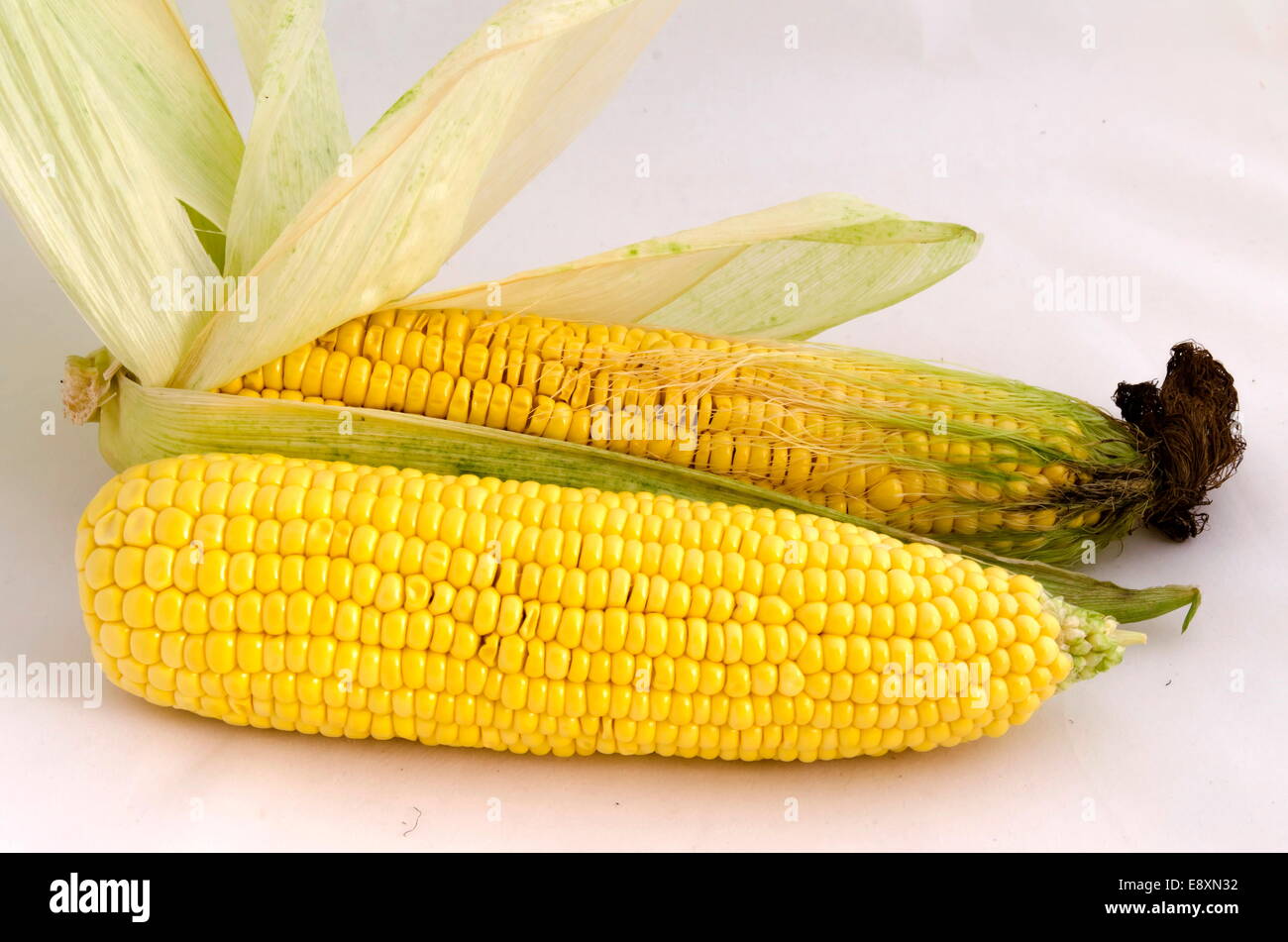 Corn or green maize hi-res stock photography and images - Alamy