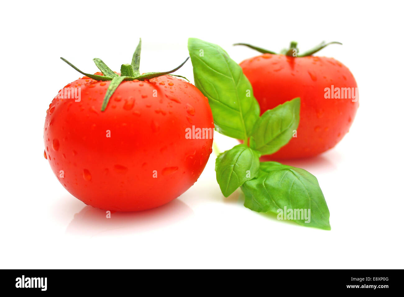 Tomato and basil Stock Photo - Alamy