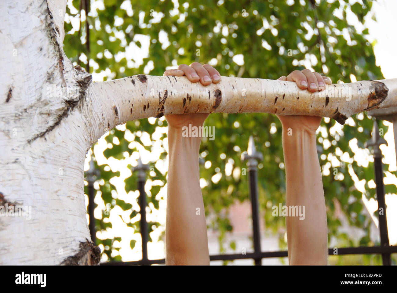 Hanging on tree limb hi-res stock photography and images - Alamy