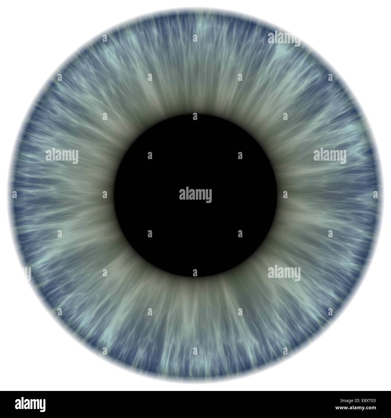 An illustration of a nice iris texture Stock Photo - Alamy