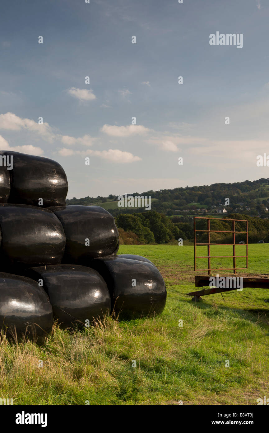 Black plastic bale wrap hi-res stock photography and images - Alamy