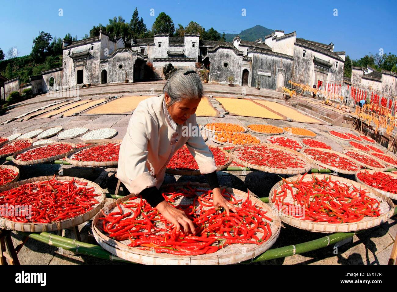The farmers are sun-curing various grains before deep autumn in Huizhou ...