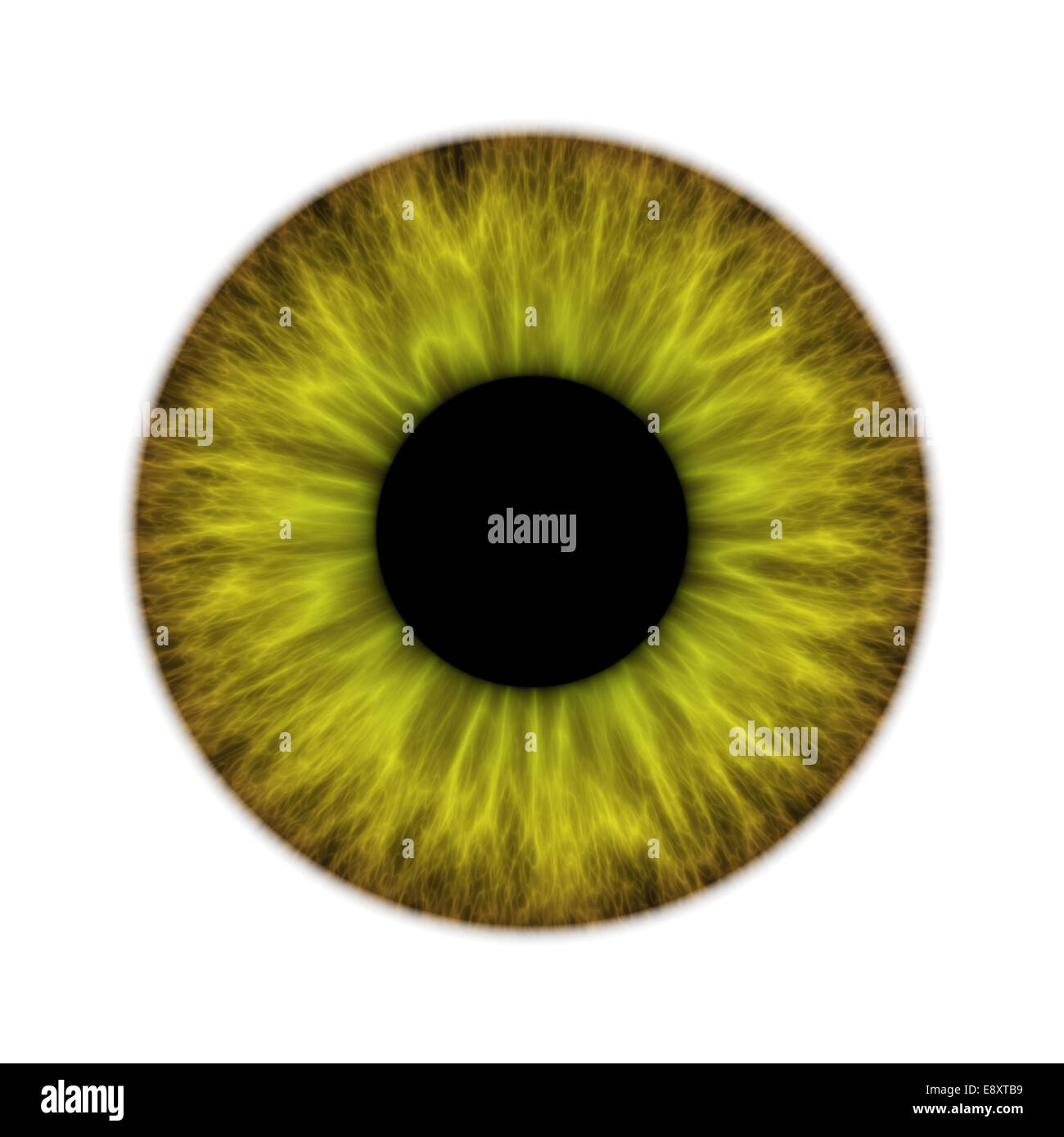 Eye with green iris Cut Out Stock Images & Pictures - Alamy